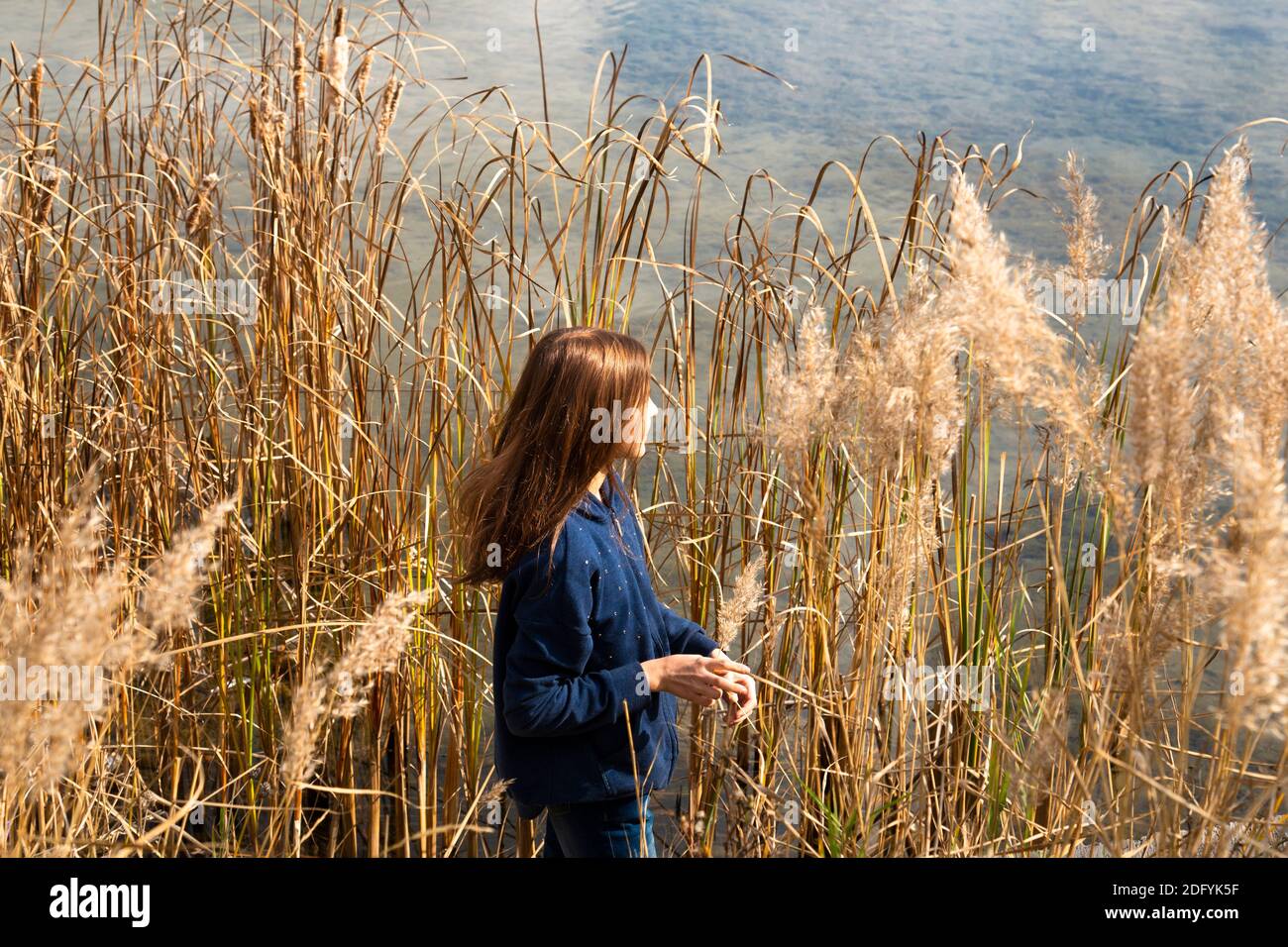 A girl with long hair on the shore of a lake in the tall Golden grass ...