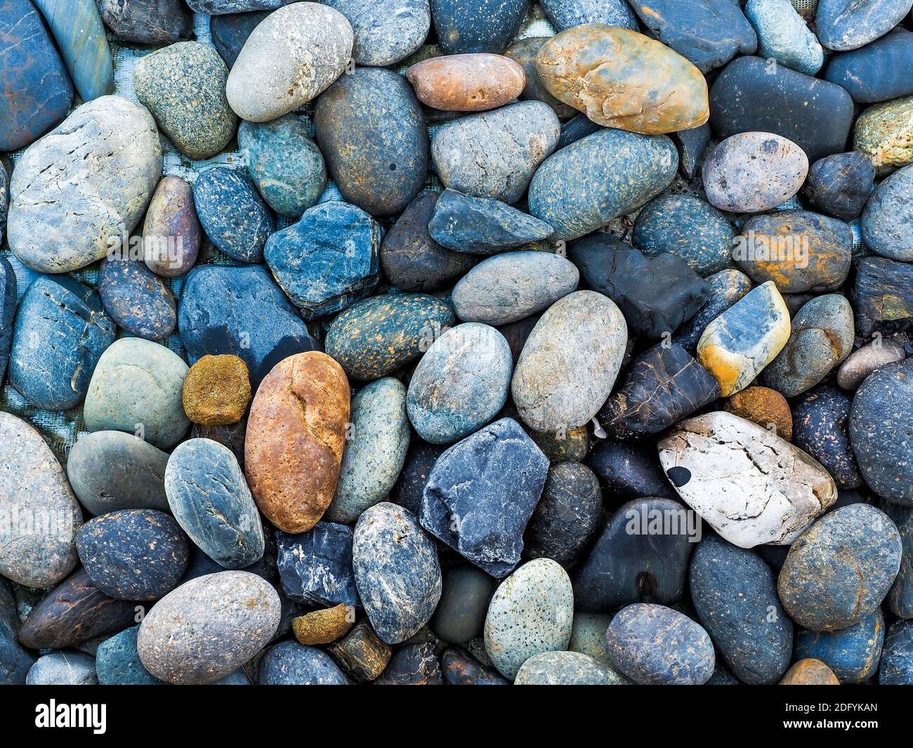 Sea pebbles, stones background. Multicolored colorful of many sea ...