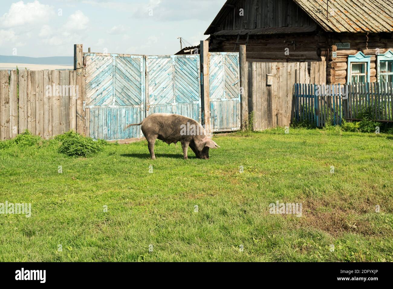 Front grassplot hi-res stock photography and images - Alamy