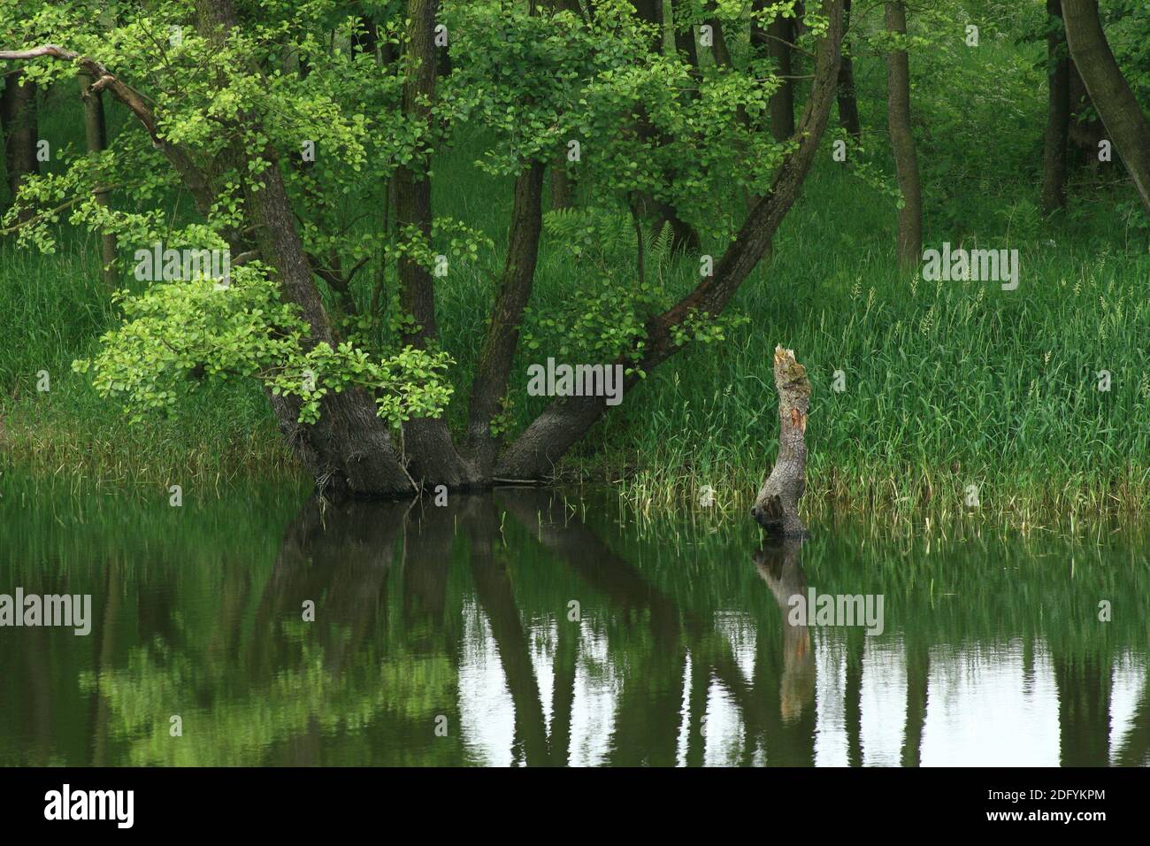Bever reservoir hi-res stock photography and images - Alamy