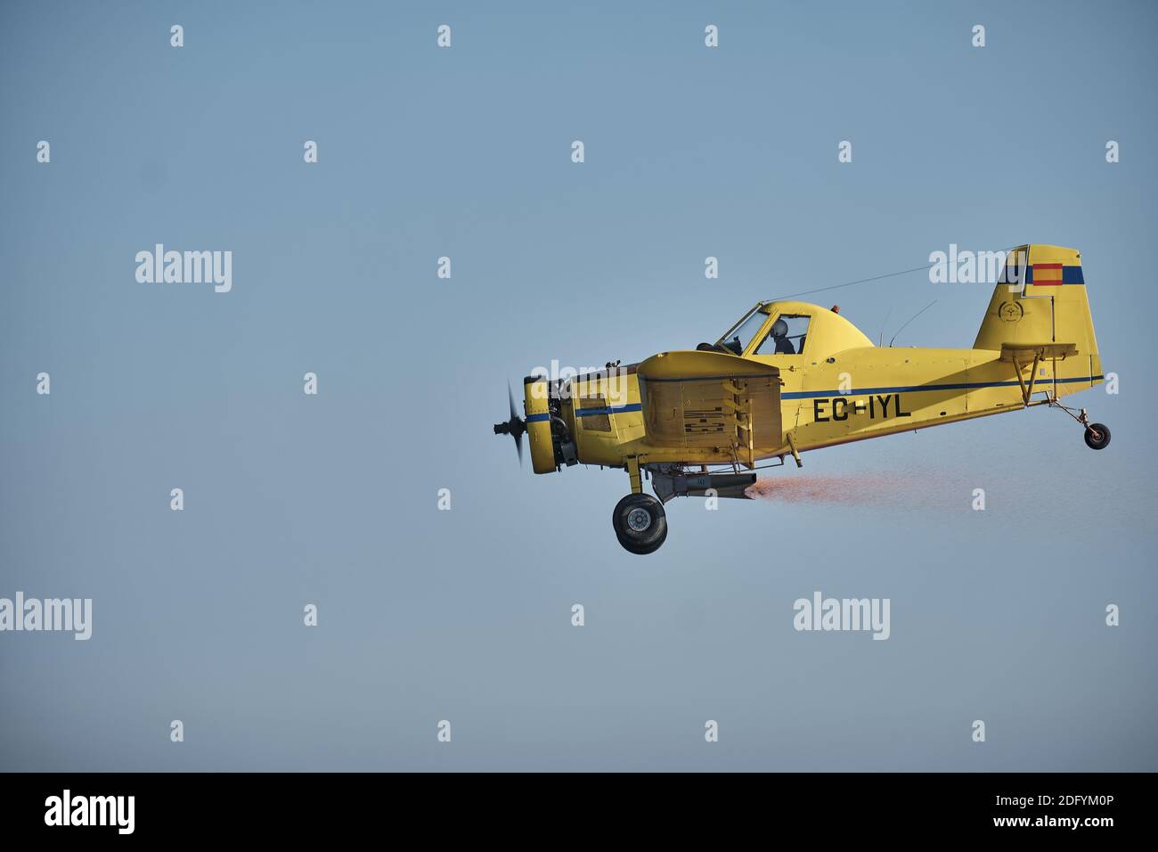 Propeller seed hi-res stock photography and images - Alamy