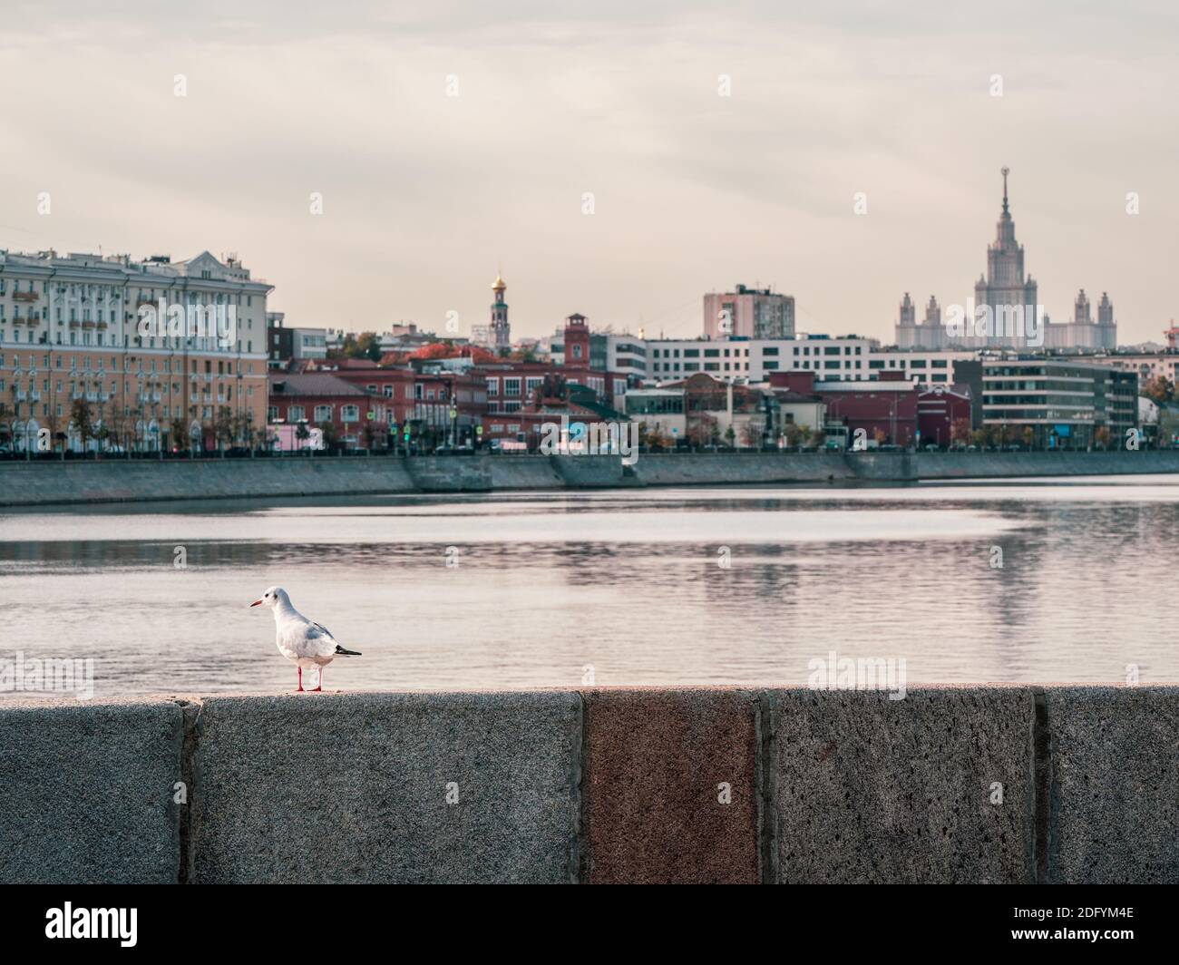 Pavement parapet hi-res stock photography and images - Alamy