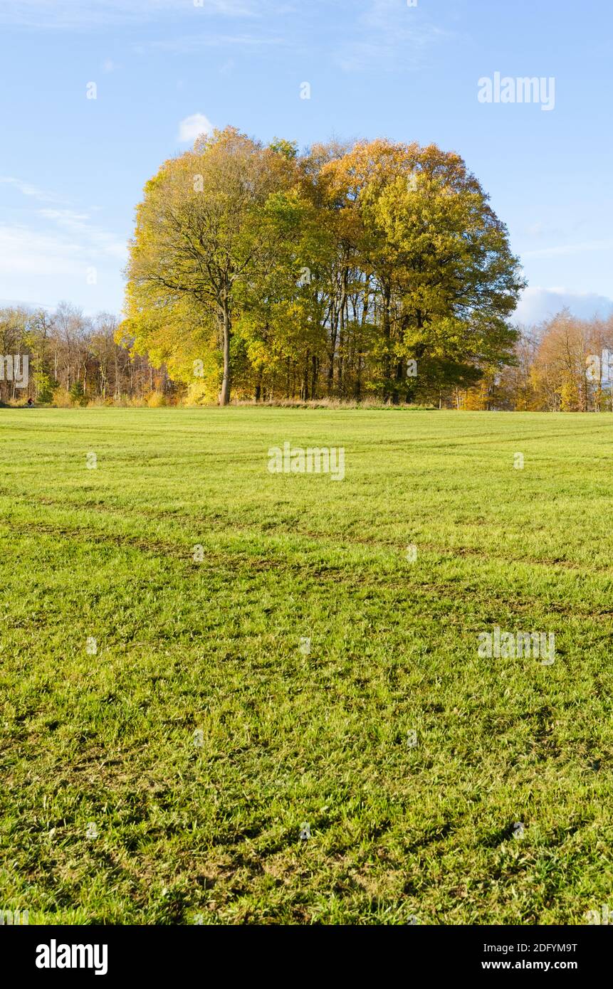 Autumn season in the countryside, colorful foliage in the forest, blue ...