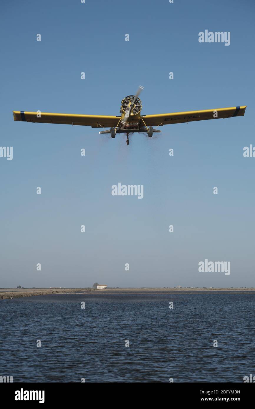 A vertical shot of a vintage single-engine aircraft with a propeller ...