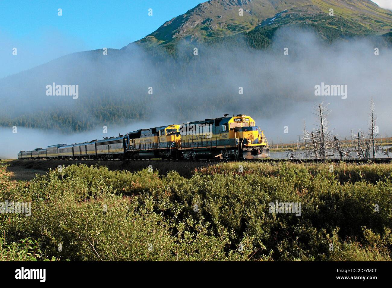 Alaska Railroad, train, Alaska Eisenbahn, USA Stock Photo - Alamy