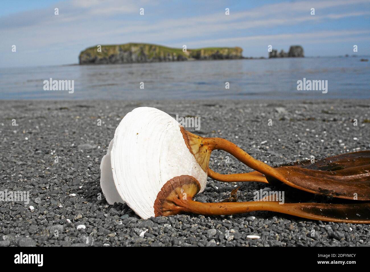 Kodiak archipelago kodiak island alaska hi-res stock photography and ...