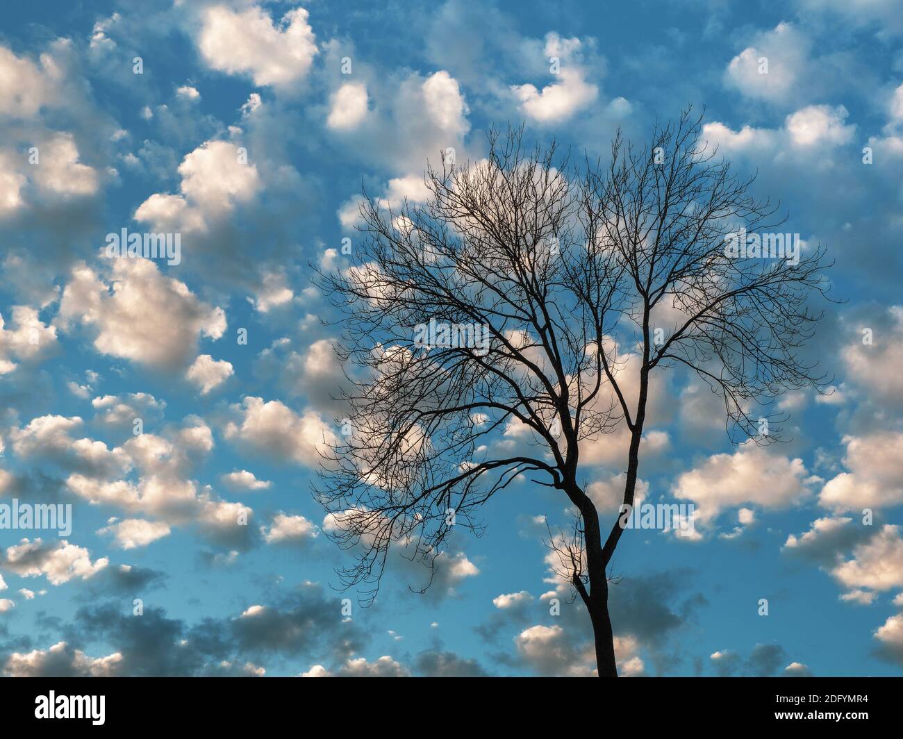 White clouds on pale sky hi-res stock photography and images - Alamy