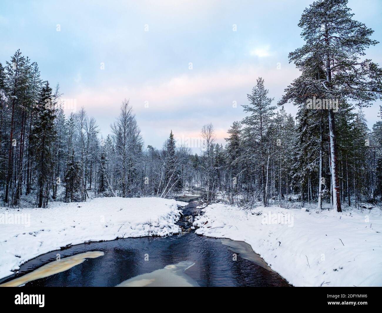 Wild winter snowy Northern forest with river on a polar day Stock Photo ...