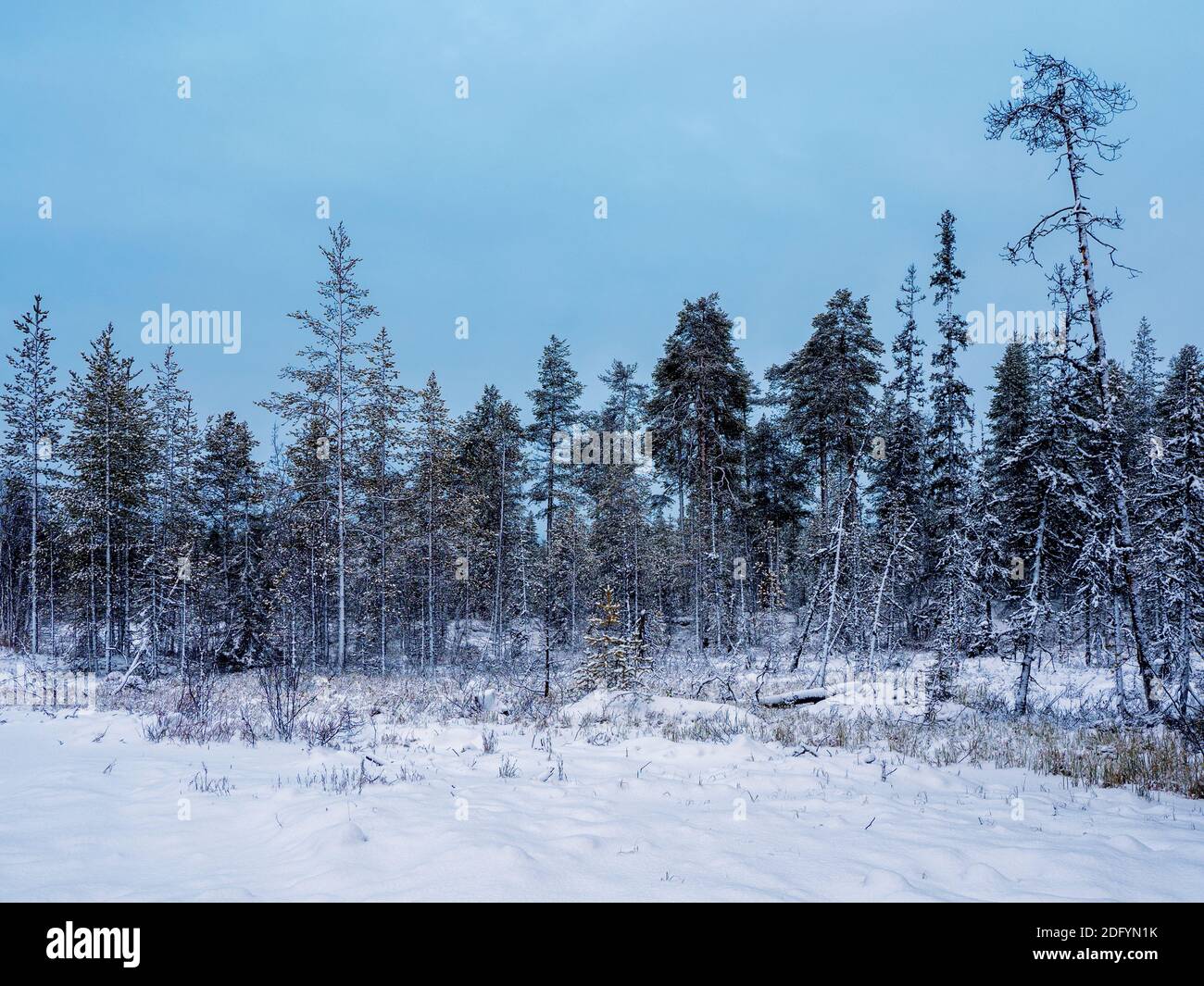 Polar day hi-res stock photography and images - Alamy