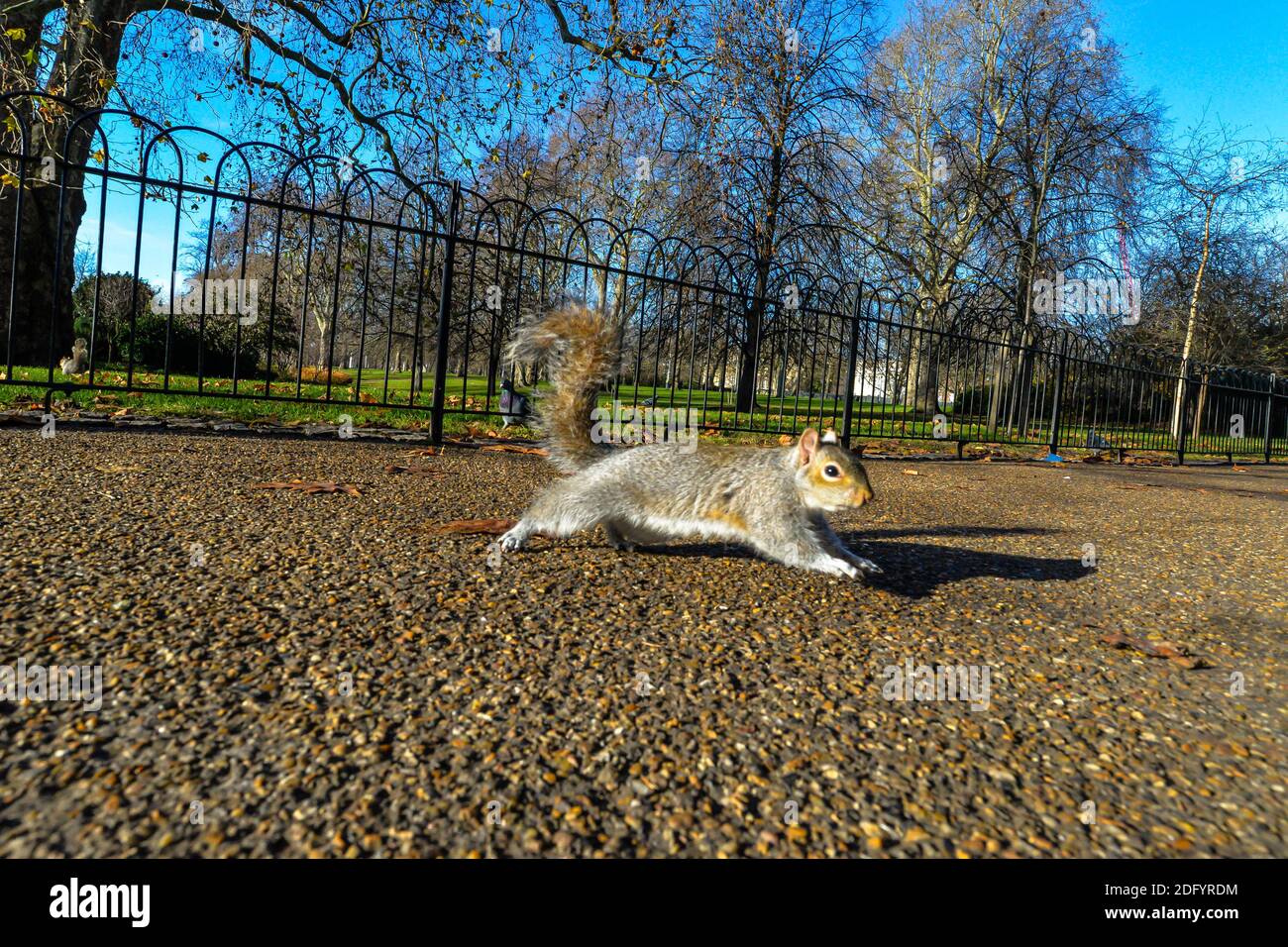 James woods 2020 hi-res stock photography and images - Alamy