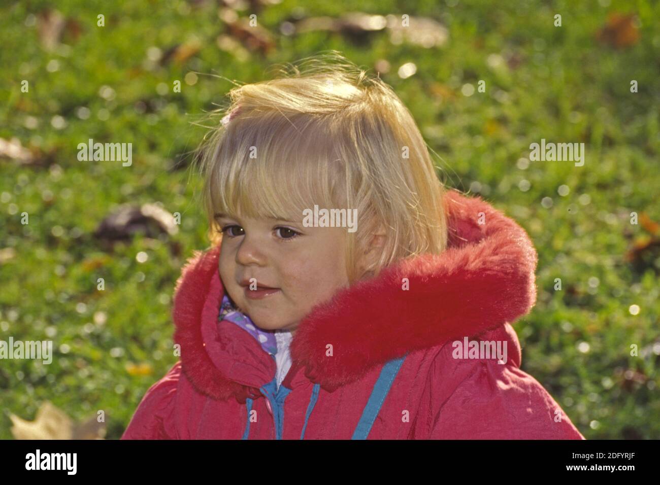 Thickly wrapped hi-res stock photography and images - Alamy