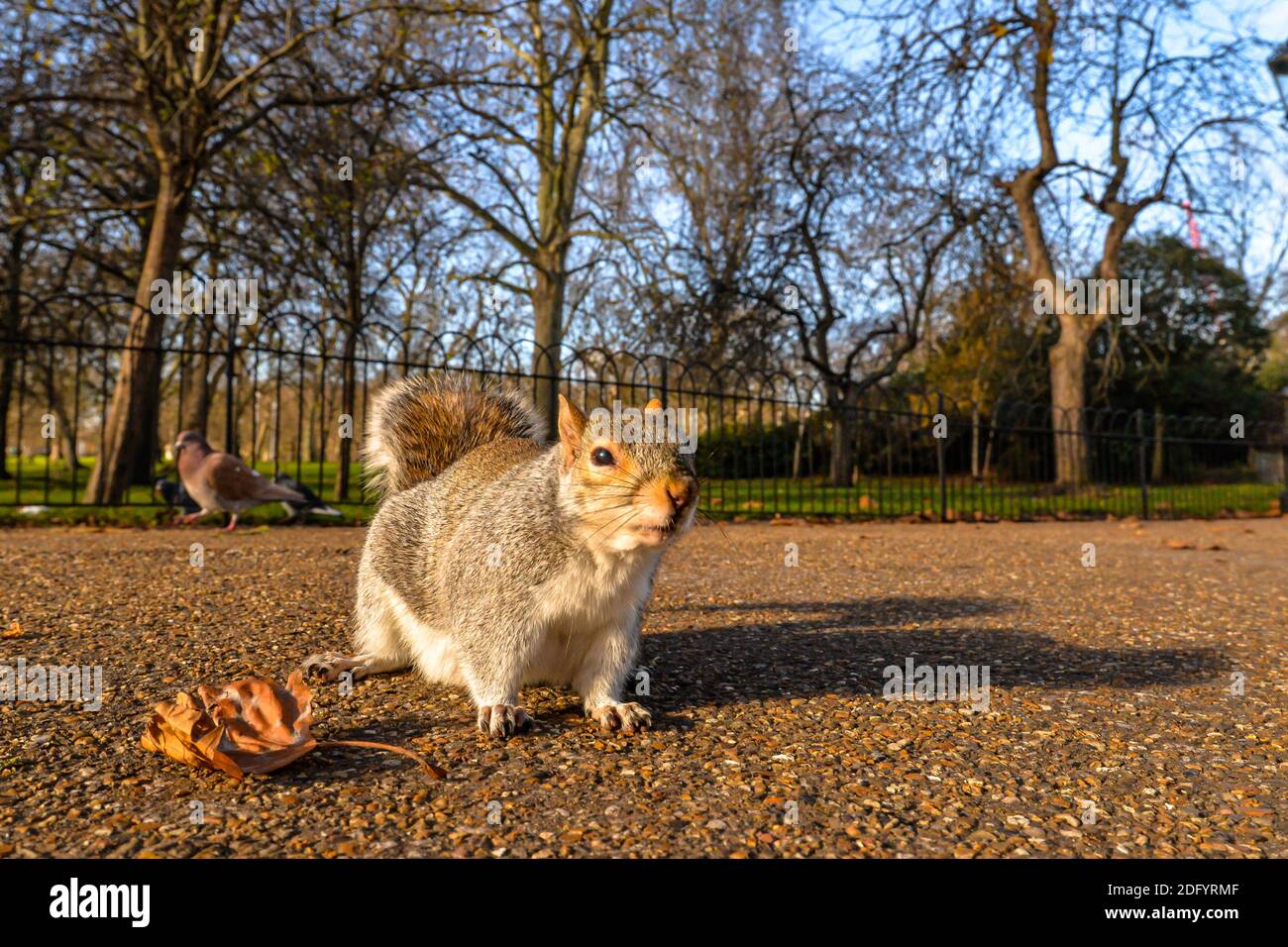 James woods 2020 hi-res stock photography and images - Alamy