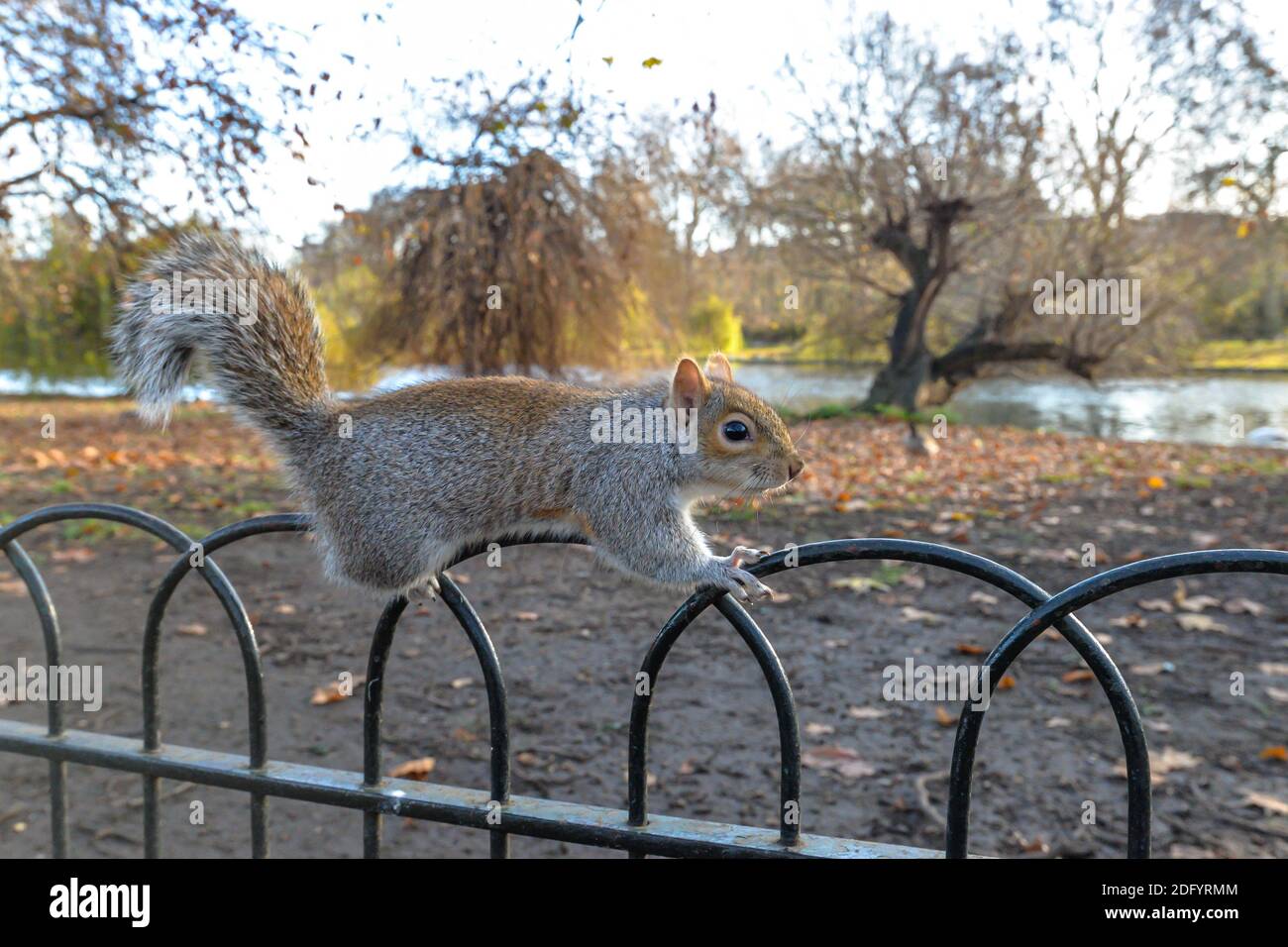 James woods 2020 hi-res stock photography and images - Alamy