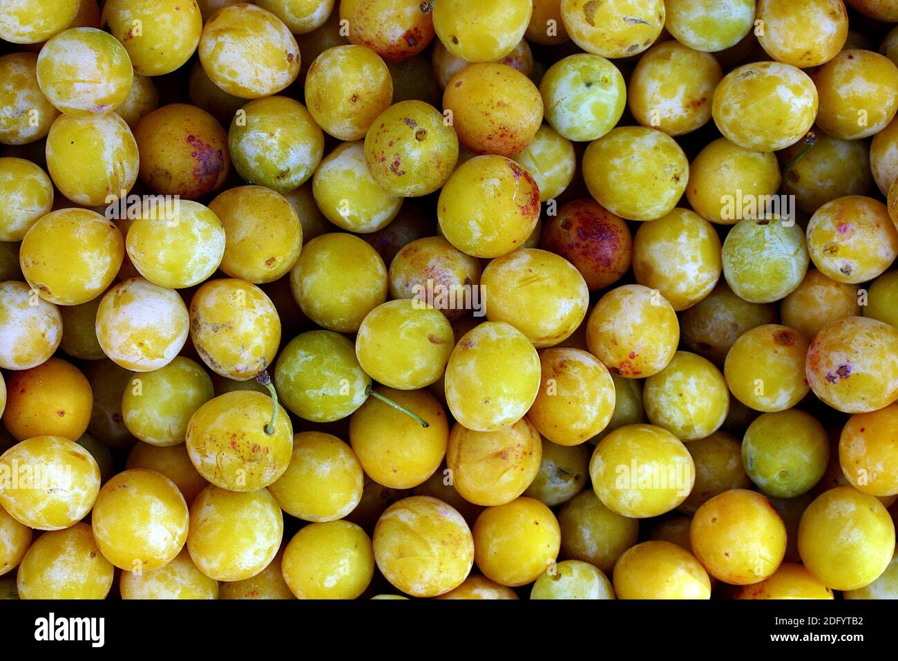 Mirabellen hi-res stock photography and images - Alamy