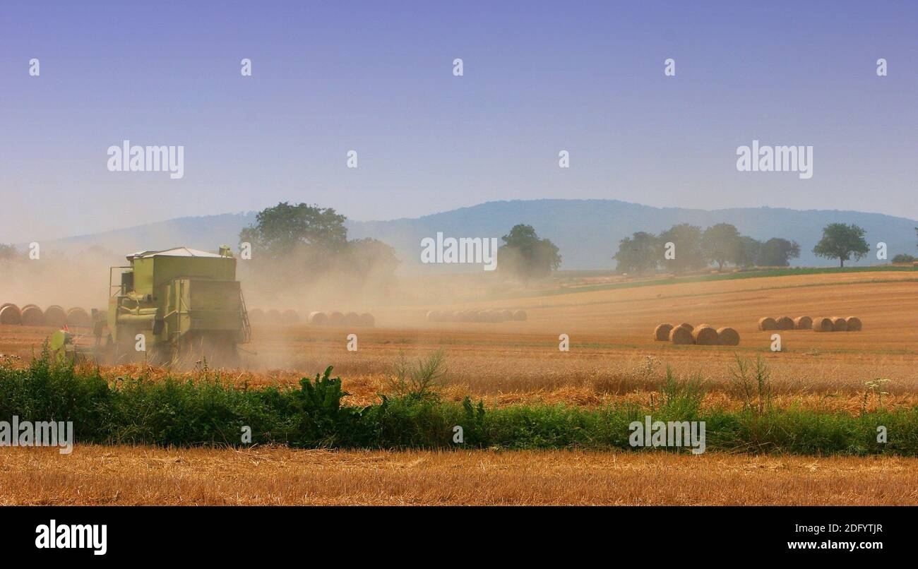 He dusts hi-res stock photography and images - Alamy