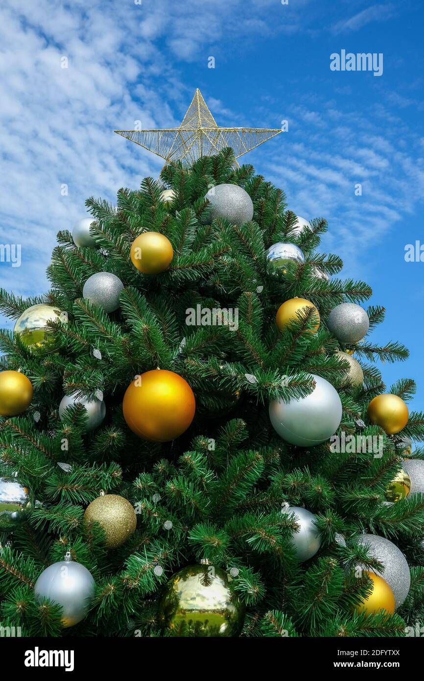 Outdoor christmas tree hi-res stock photography and images - Alamy