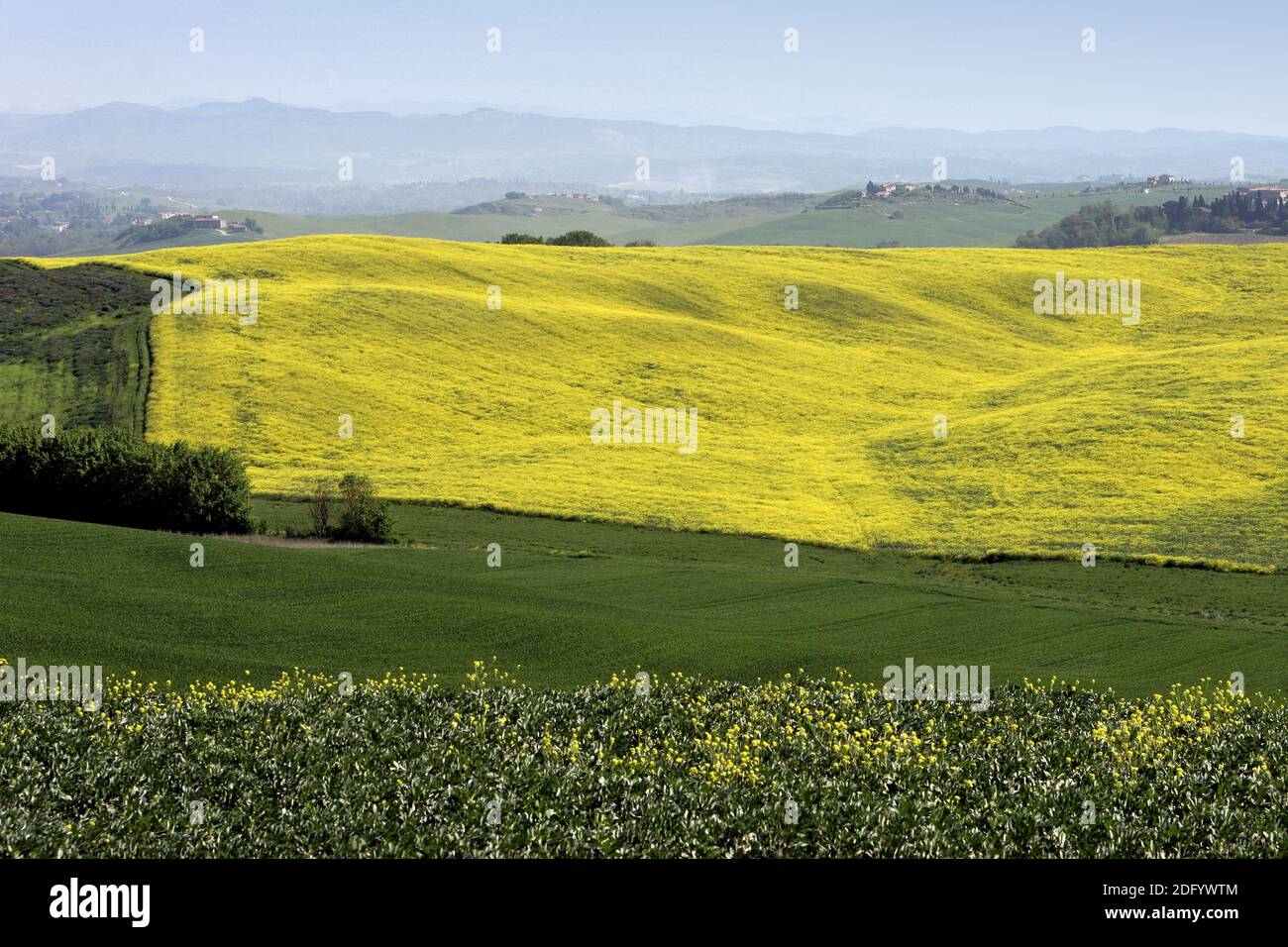 Tuscany in spring Stock Photo - Alamy