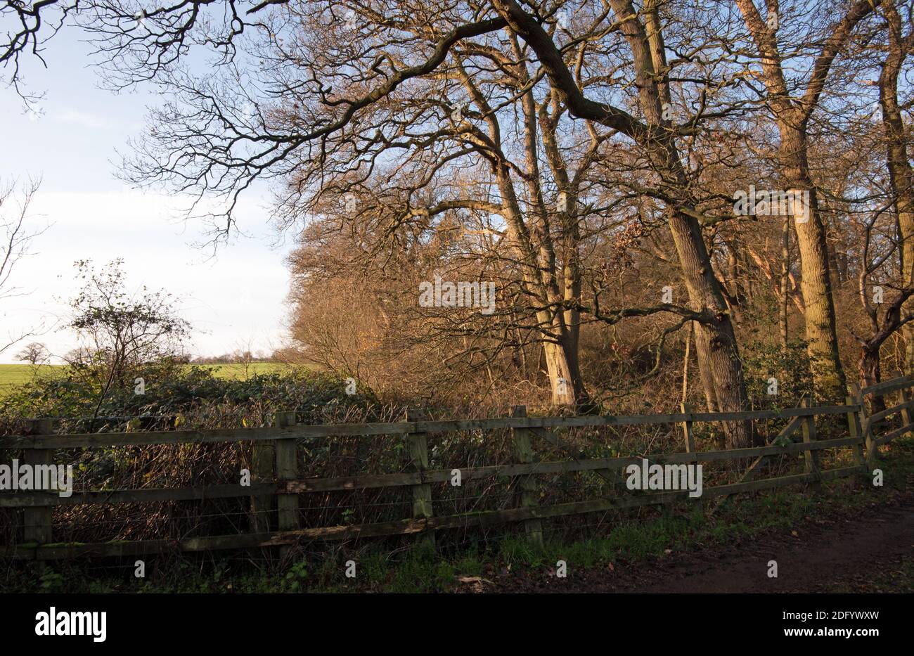 M25 Colne Valley Motorway Service Area proposed site, Iver Heath, Bucks ...