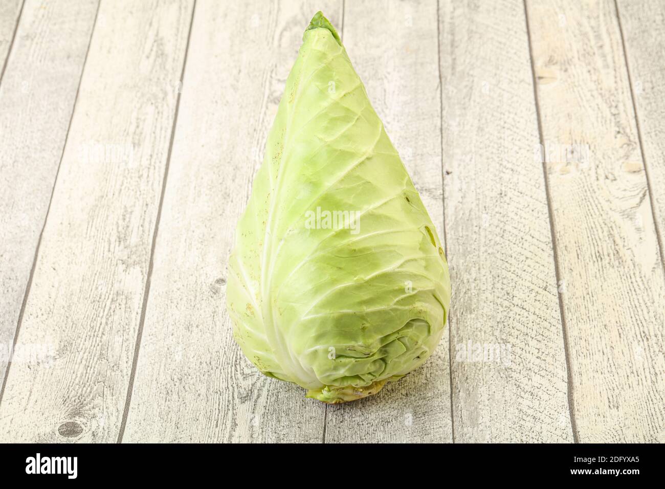 Cone cabbage for dietary and vegan cuisine Stock Photo - Alamy