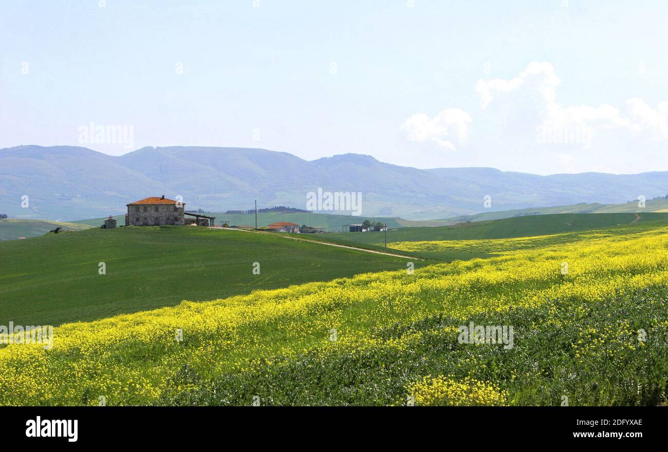 Spring in Tuscany Stock Photo - Alamy