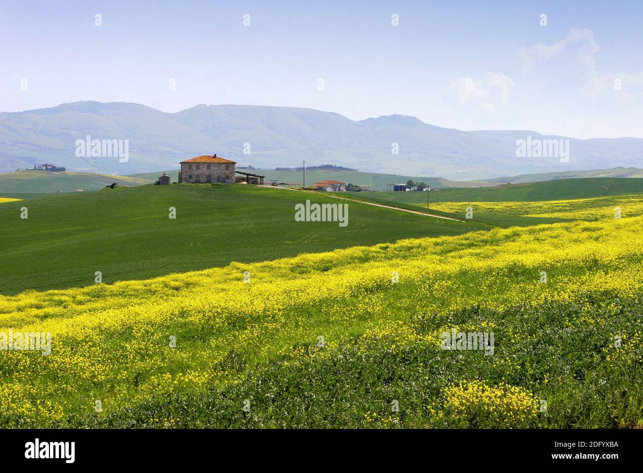 Spring in Tuscany Stock Photo - Alamy