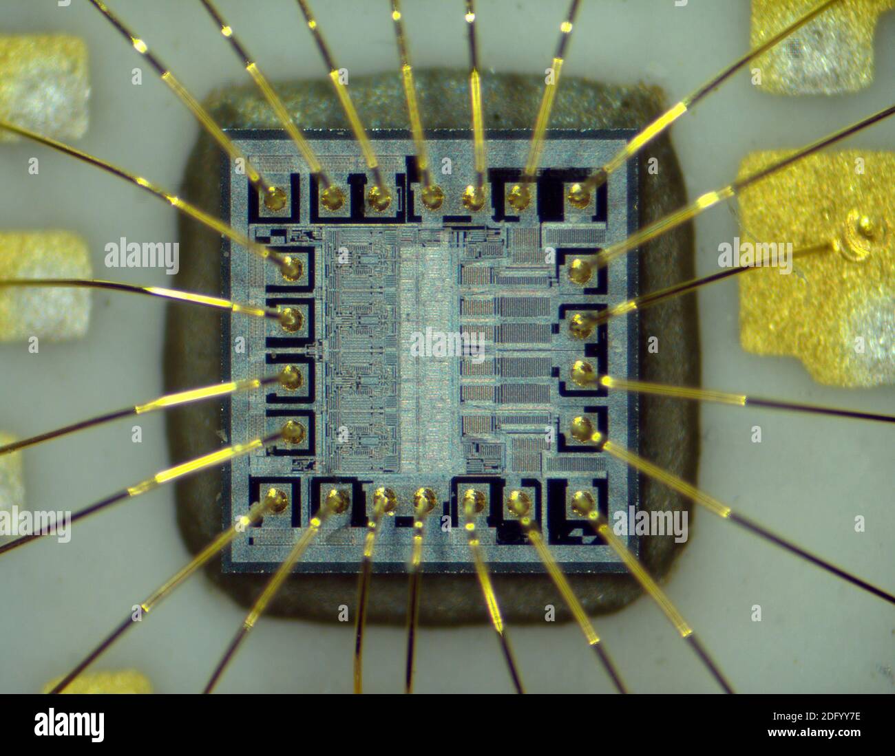 Gold microchip hi-res stock photography and images - Alamy