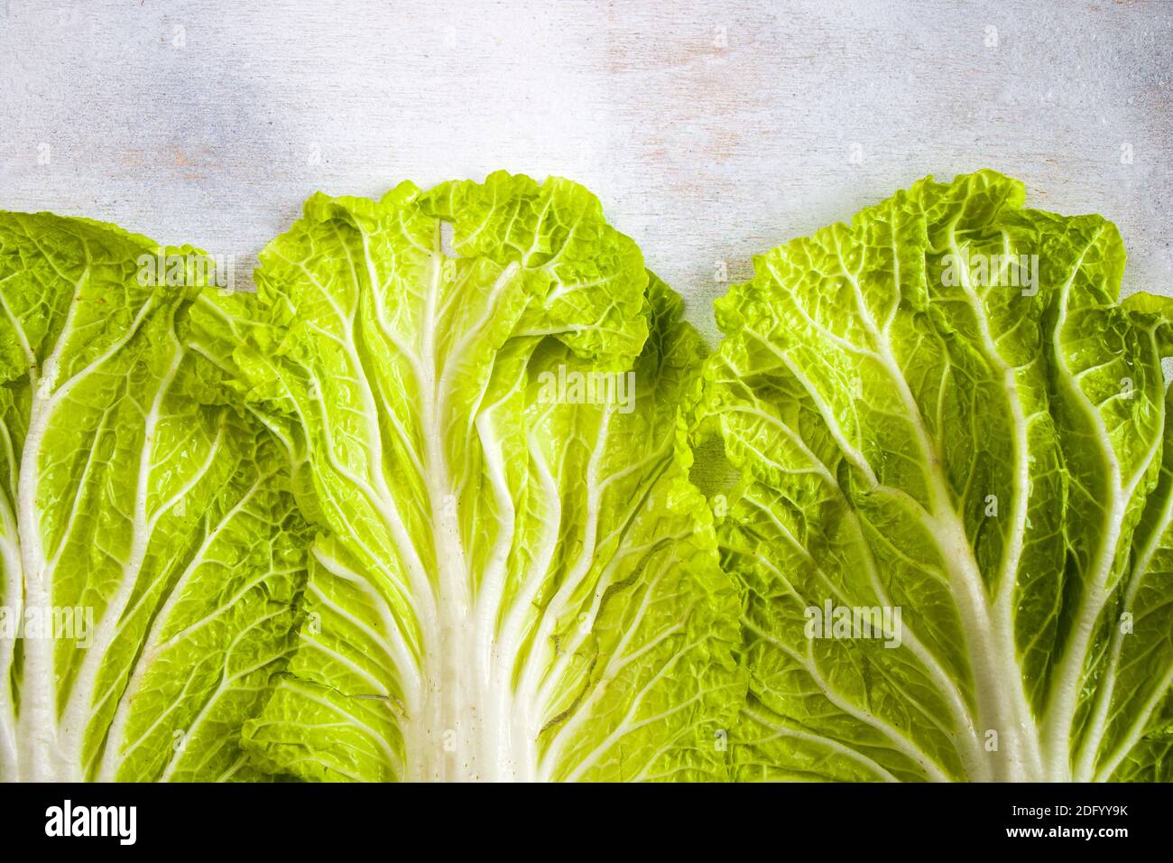 Chinese Leaf Lettuce High Resolution Stock Photography and Images - Alamy