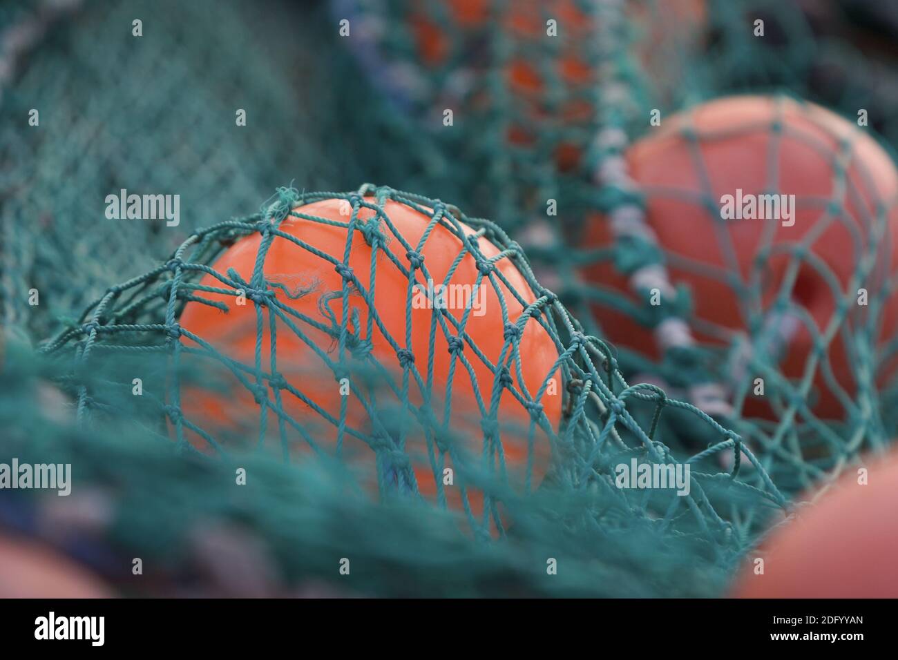 North sea net sea hi-res stock photography and images - Alamy