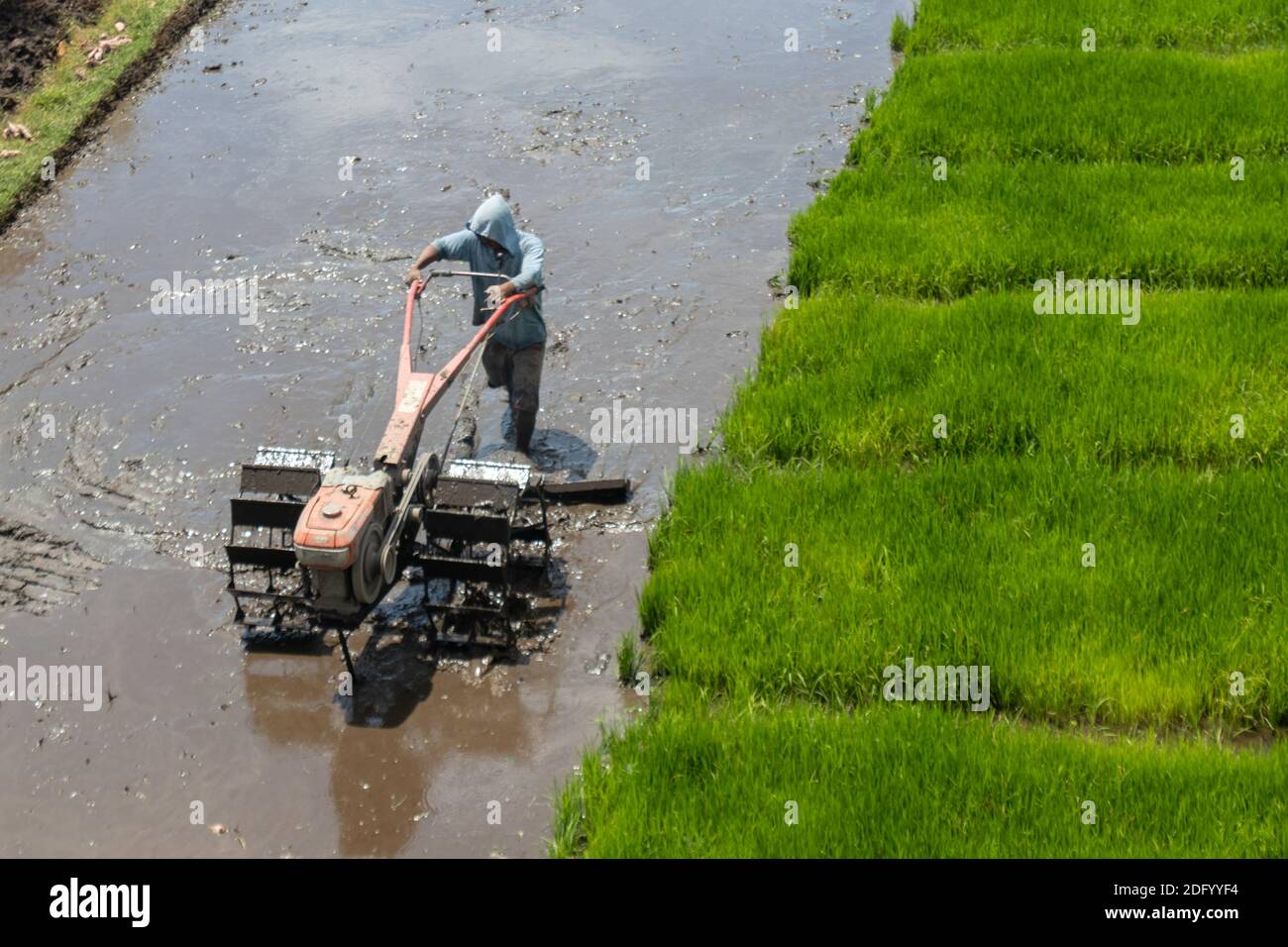 Farmers are plowing the fields to be planted Stock Photo - Alamy