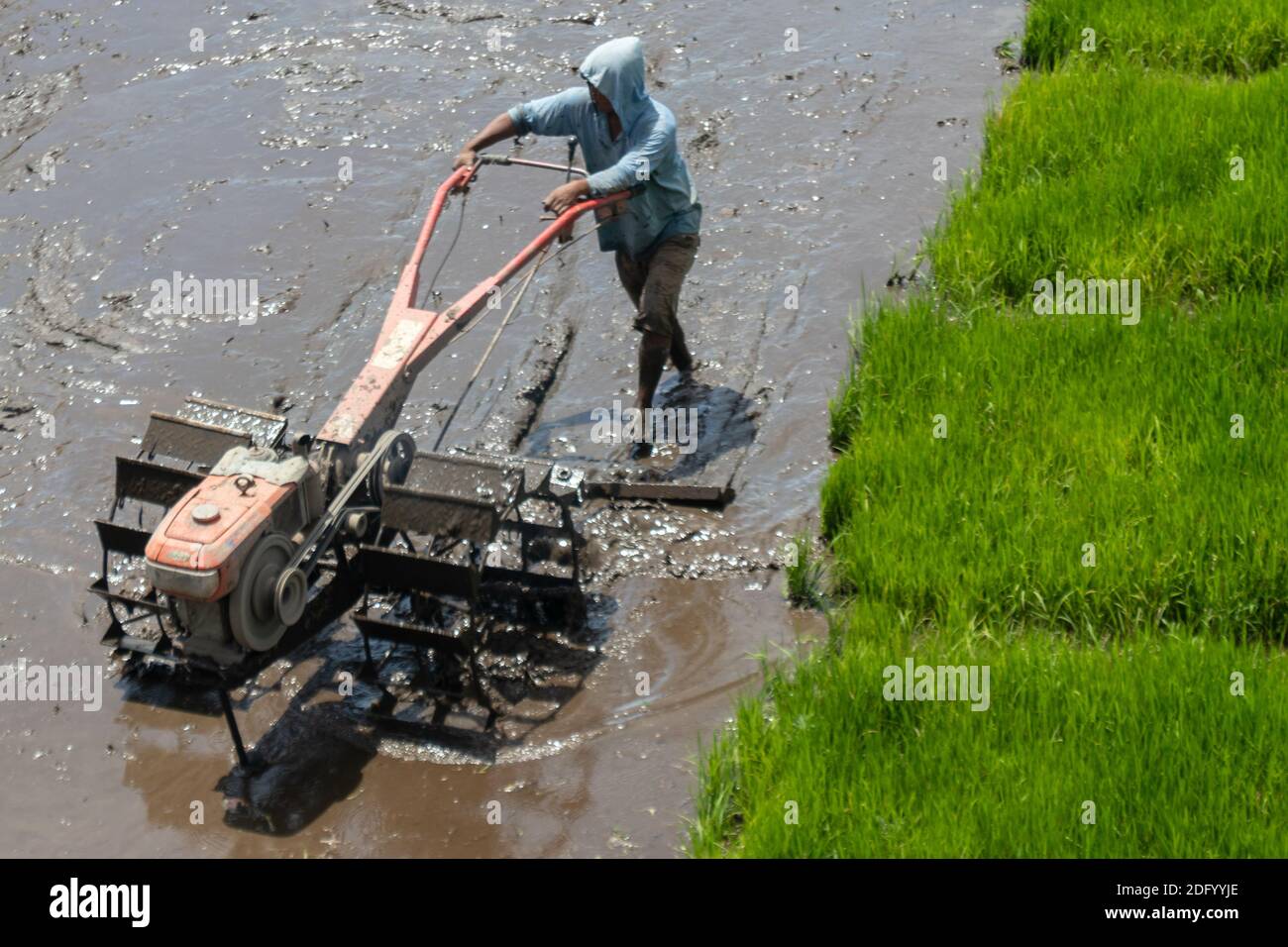 Farmers are plowing the fields to be planted Stock Photo - Alamy