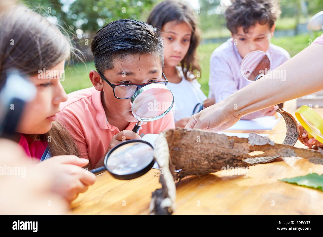 Children explore tree bark with a magnifying glass in the environmental ...