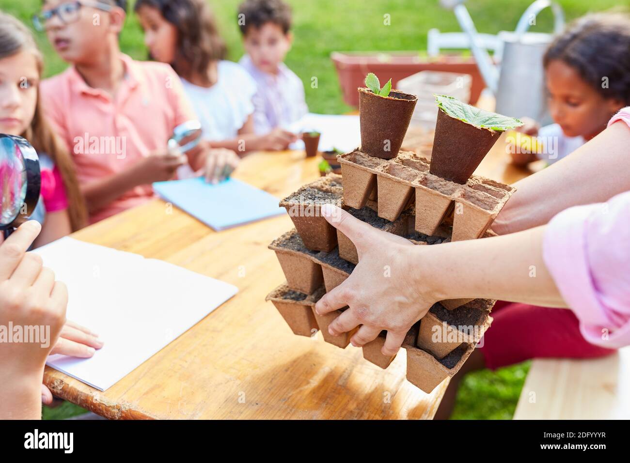 Children learn about botany and cultivation in the biology workshop in ...