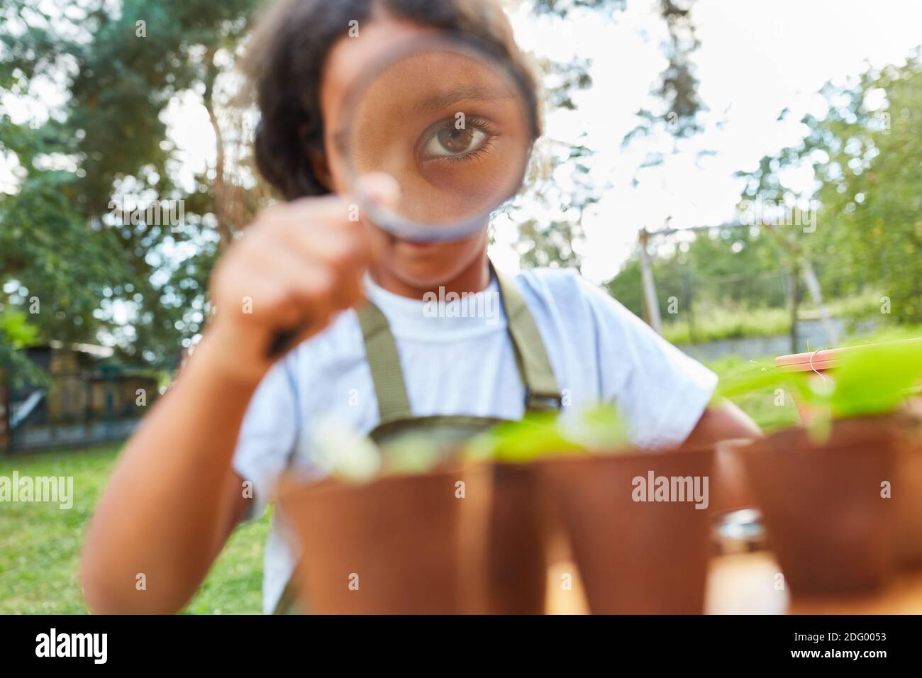 Girl looks at a plant through a magnifying glass in the biology project ...