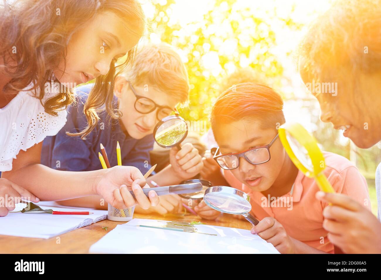 Children as little researchers and explorers look at a leaf with a ...