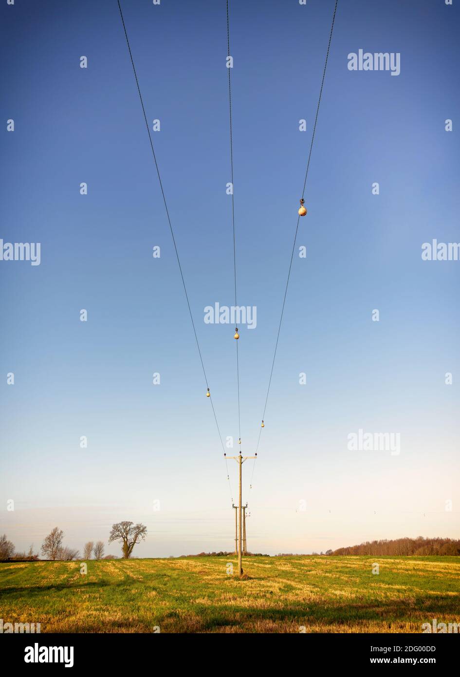 Telegraph posts in line across a field with cables leading from above ...