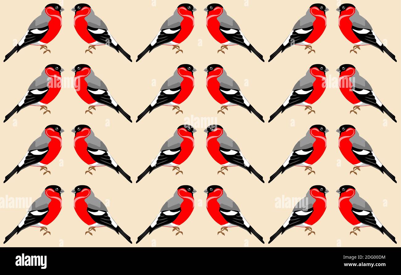Wallpaper with red-bellied clark bird pattern. Winter birds theme ...