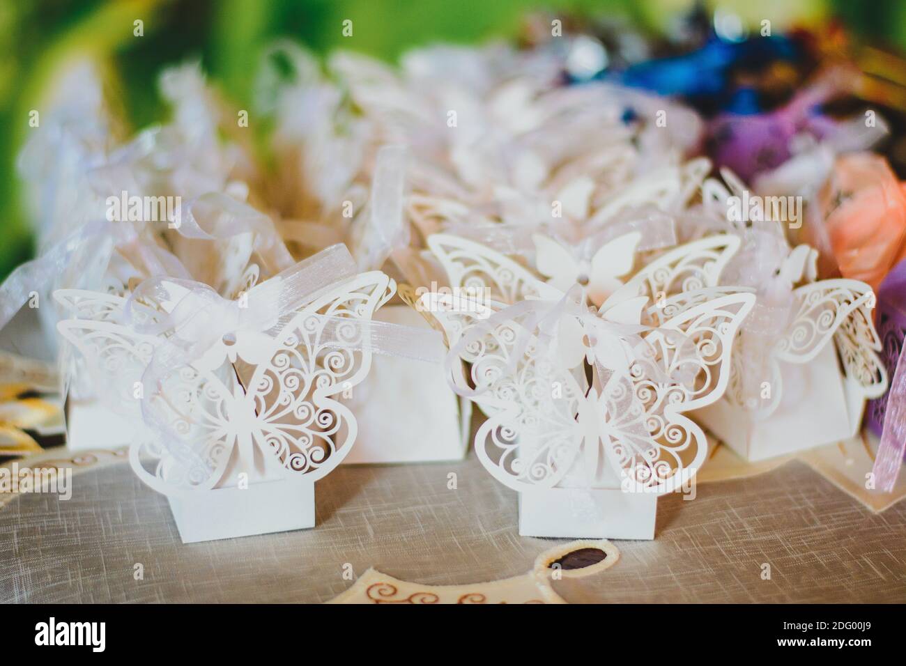 Boxes butterflies hi-res stock photography and images - Alamy