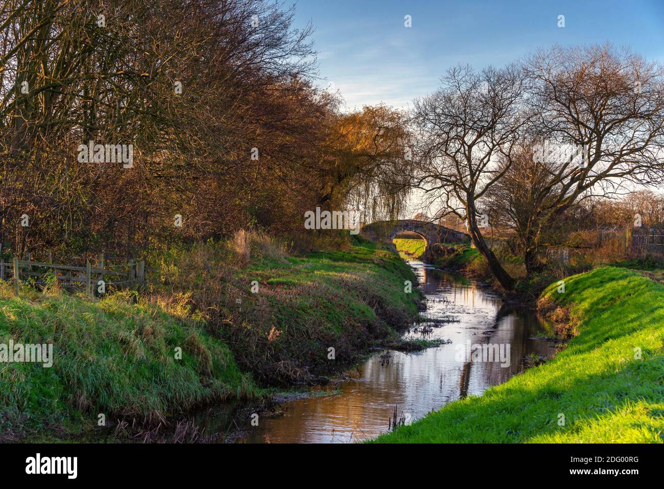 A twin-trunked tree curves over a stream and there is an ancient bridge ...