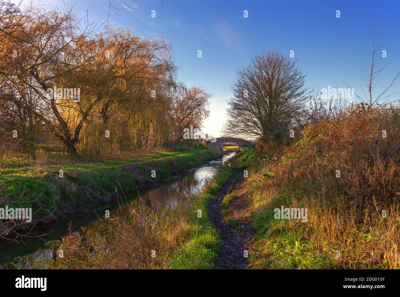 A muddy path runs beside a stream with trees on each side. There is an ...