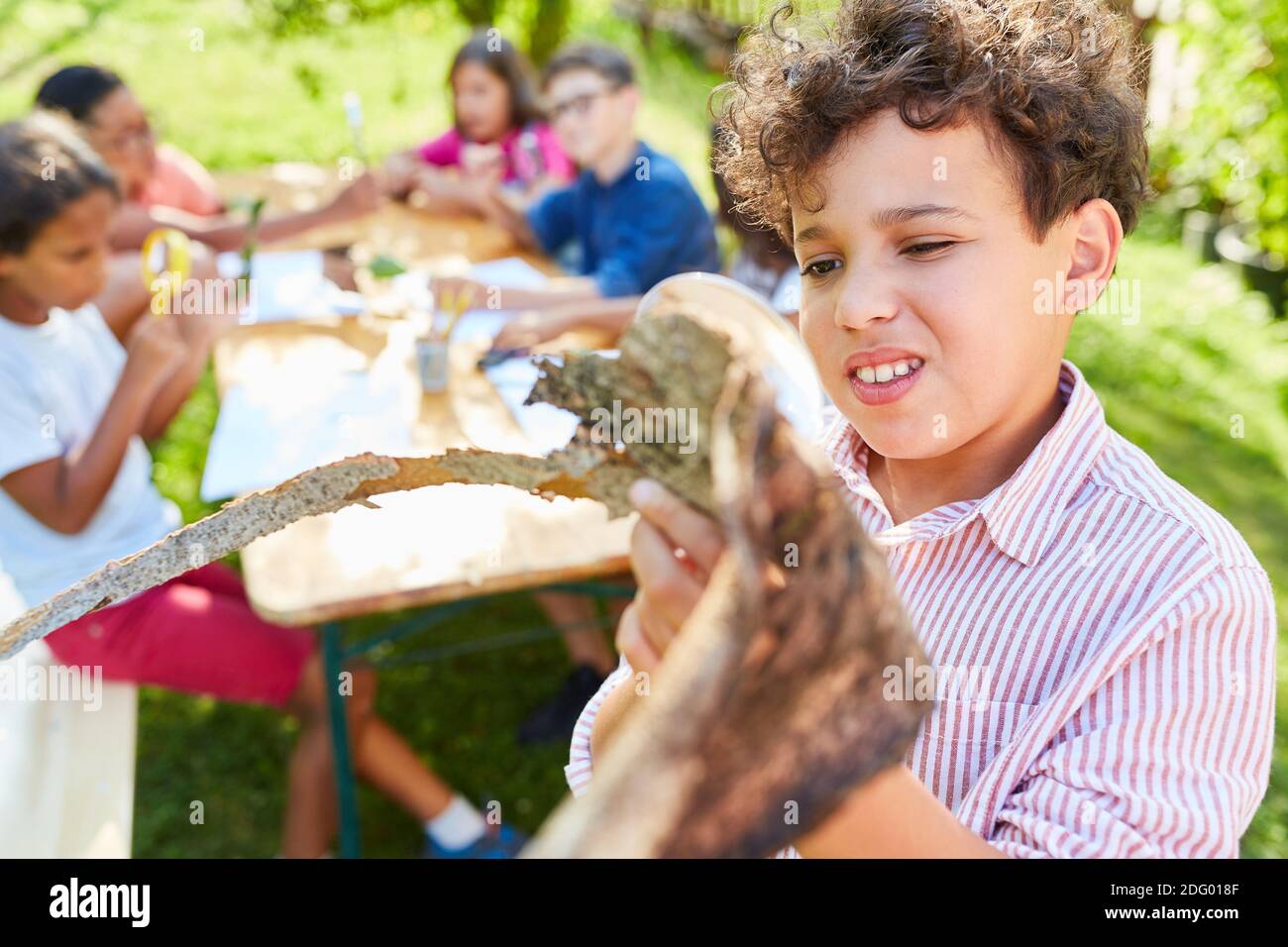 Children in the ecological summer camp curiously look at tree bark ...