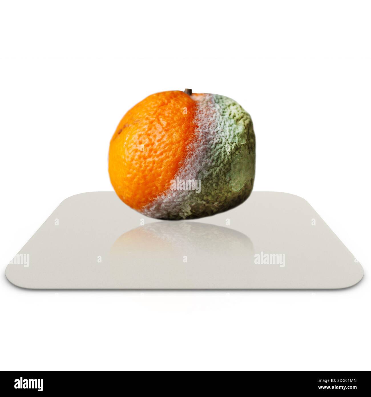Tangerine half rotten lying on the dishes on a white isolated ...