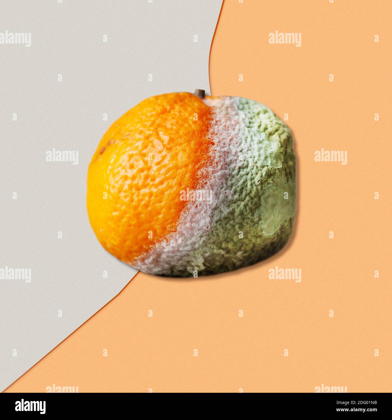 Concept photo of a half-rotten Mandarin on a gray-orange cardboard ...