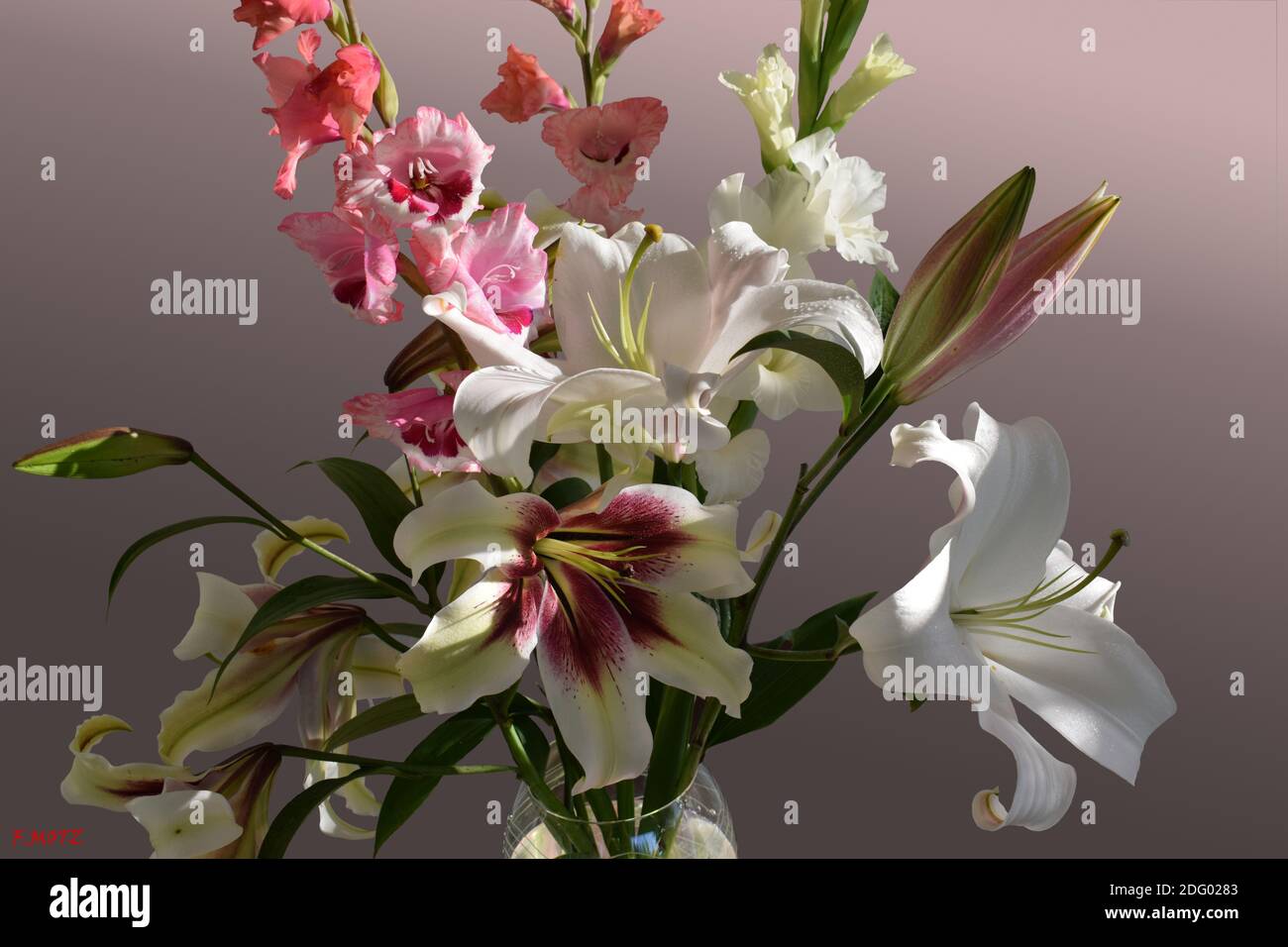 Impression bouquet de lys rose et blanc Stock Photo - Alamy