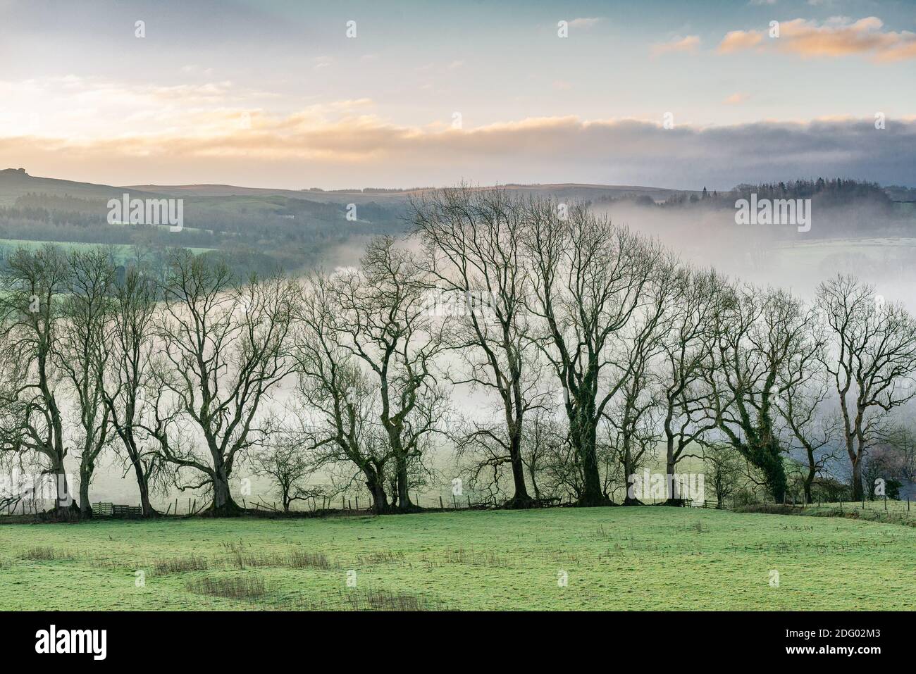 Beautiful misty weather hi-res stock photography and images - Alamy