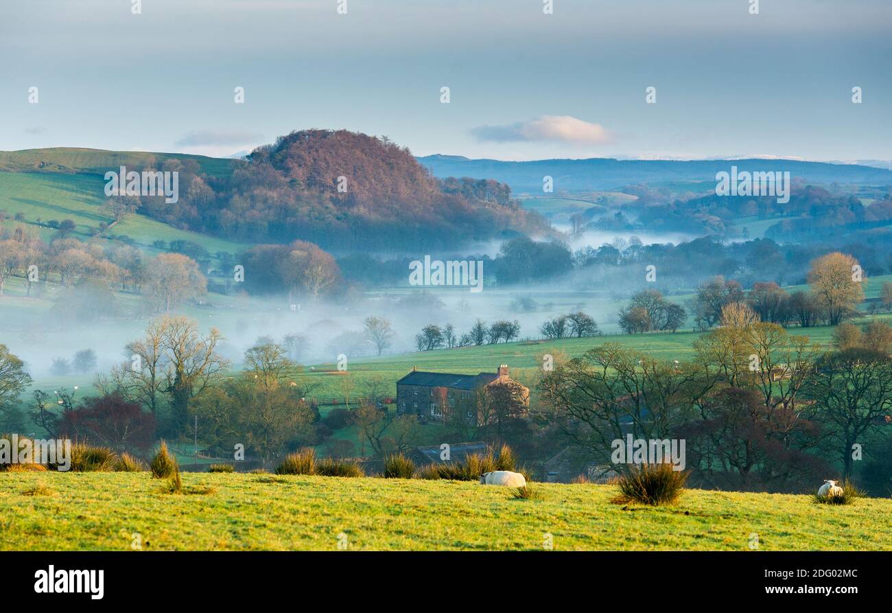 Beautiful misty weather hi-res stock photography and images - Alamy