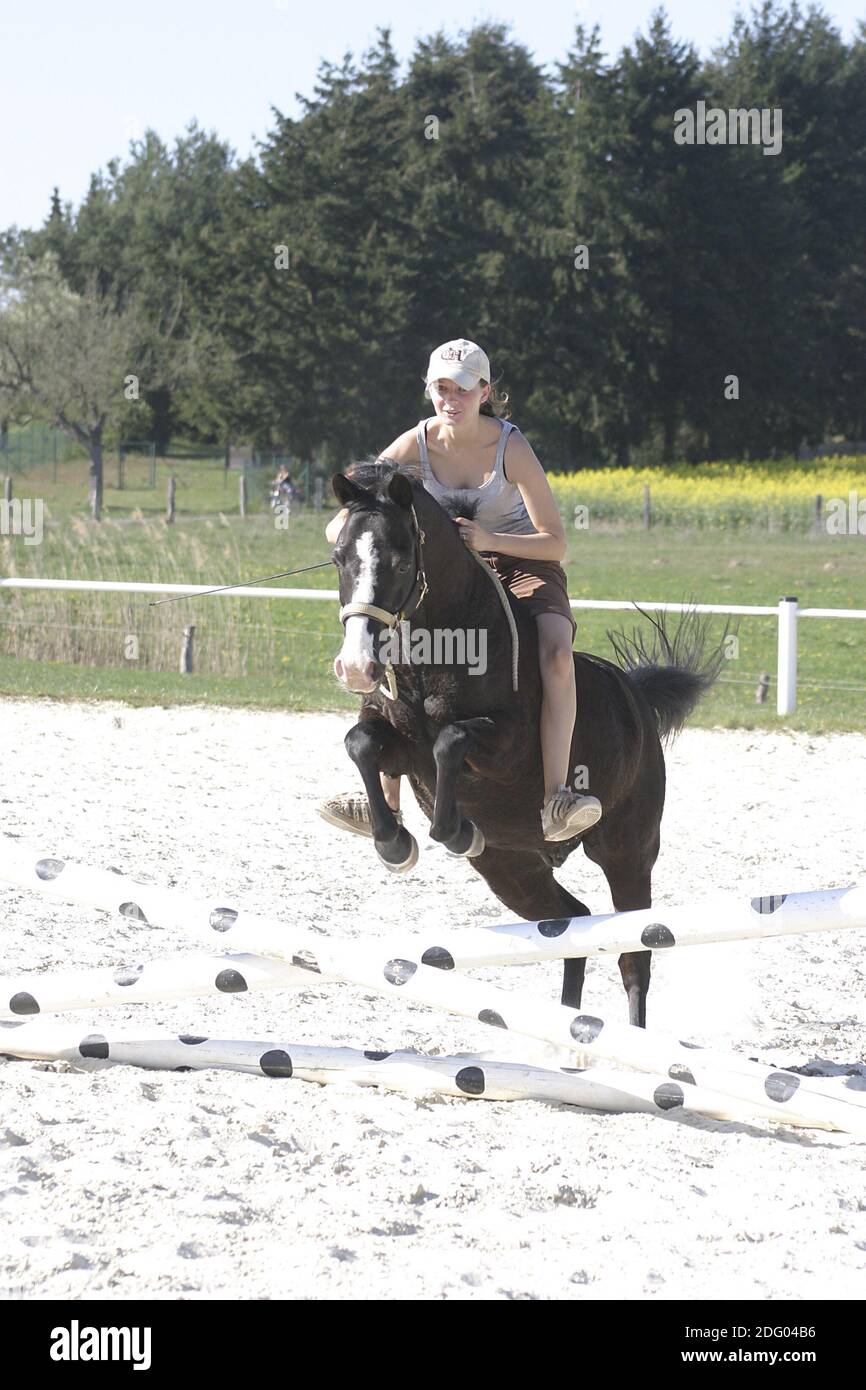 Riding lessons, jumping training, riding training Stock Photo - Alamy