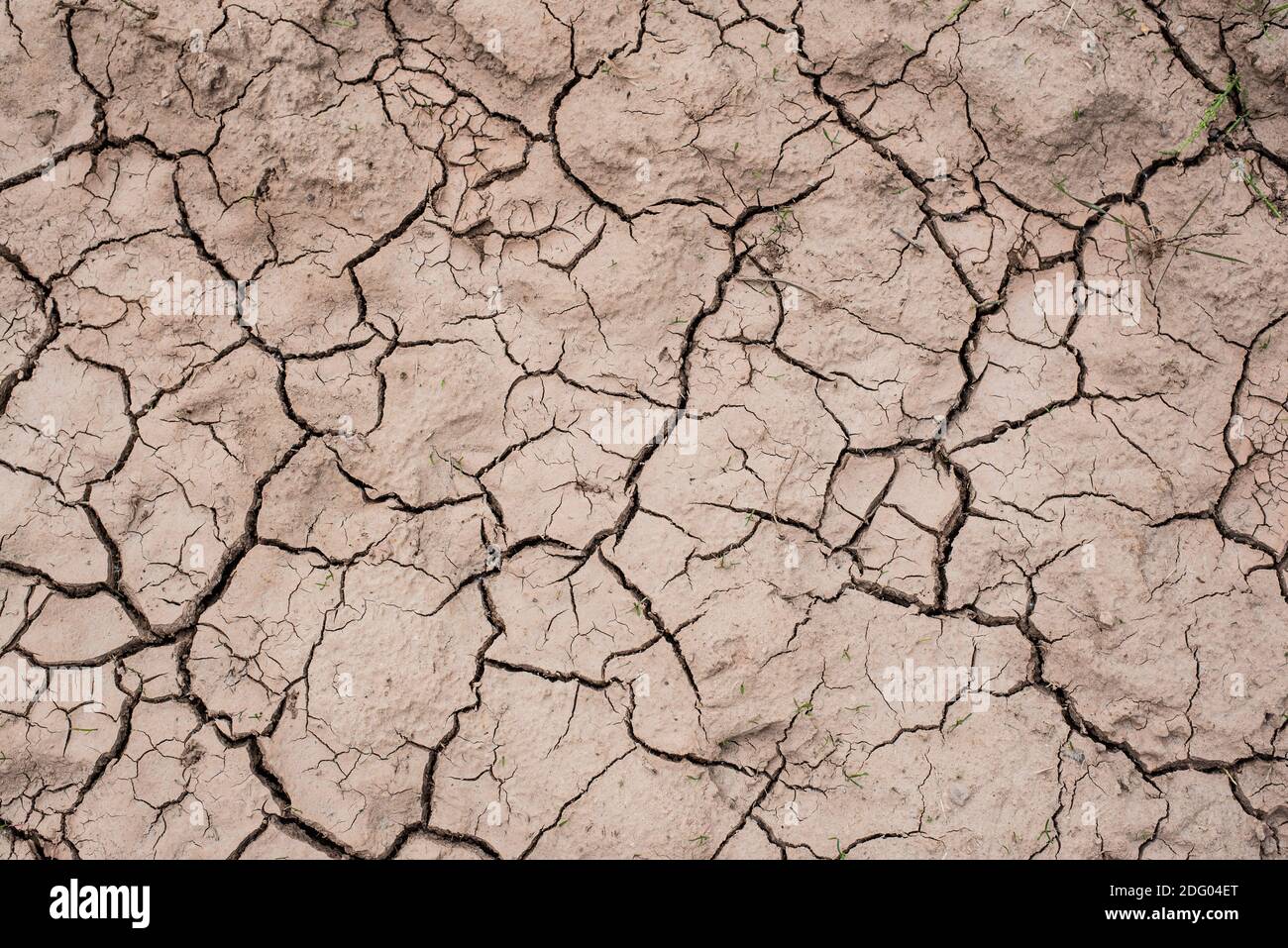 texture of dried mud. dried field Stock Photo - Alamy