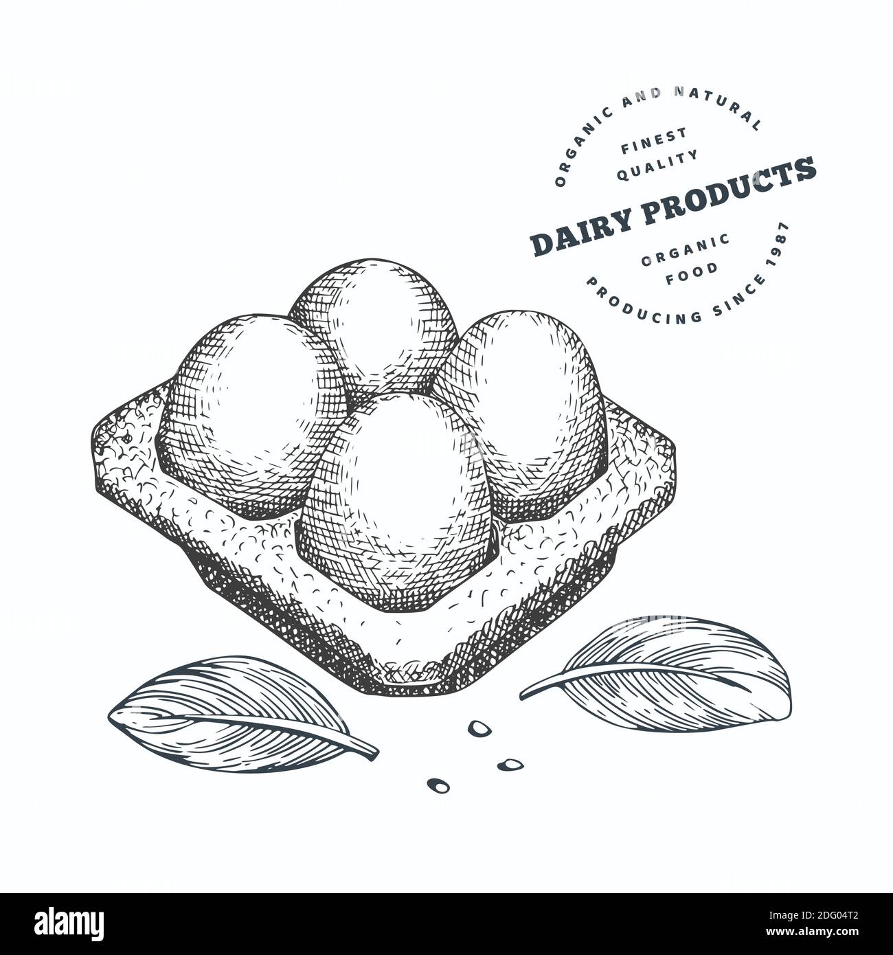 Carton Of Eggs Drawing