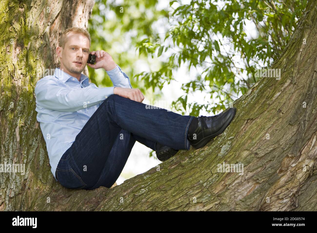 Mobile phone call on tree trunk Stock Photo - Alamy