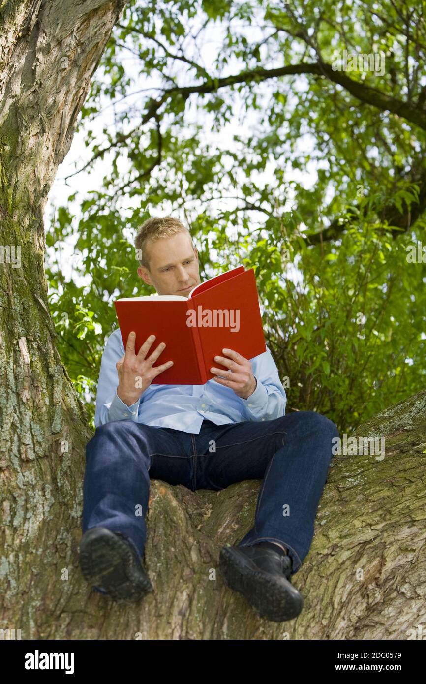 Reading in the tree Stock Photo - Alamy
